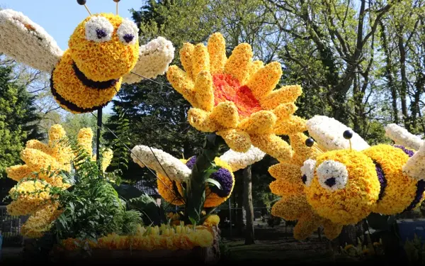Day Trip to Flower Parade, Haarlem, and Keukenhof - Hop On Hop Off Holland